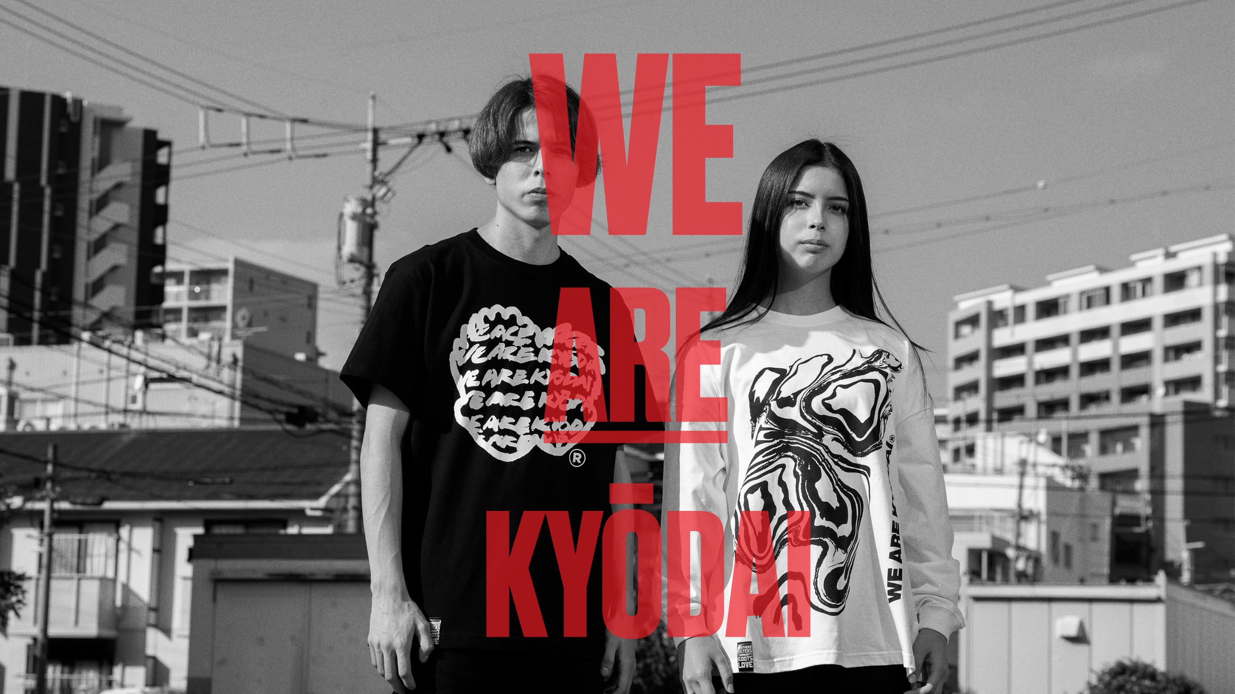 KYŌDAI®